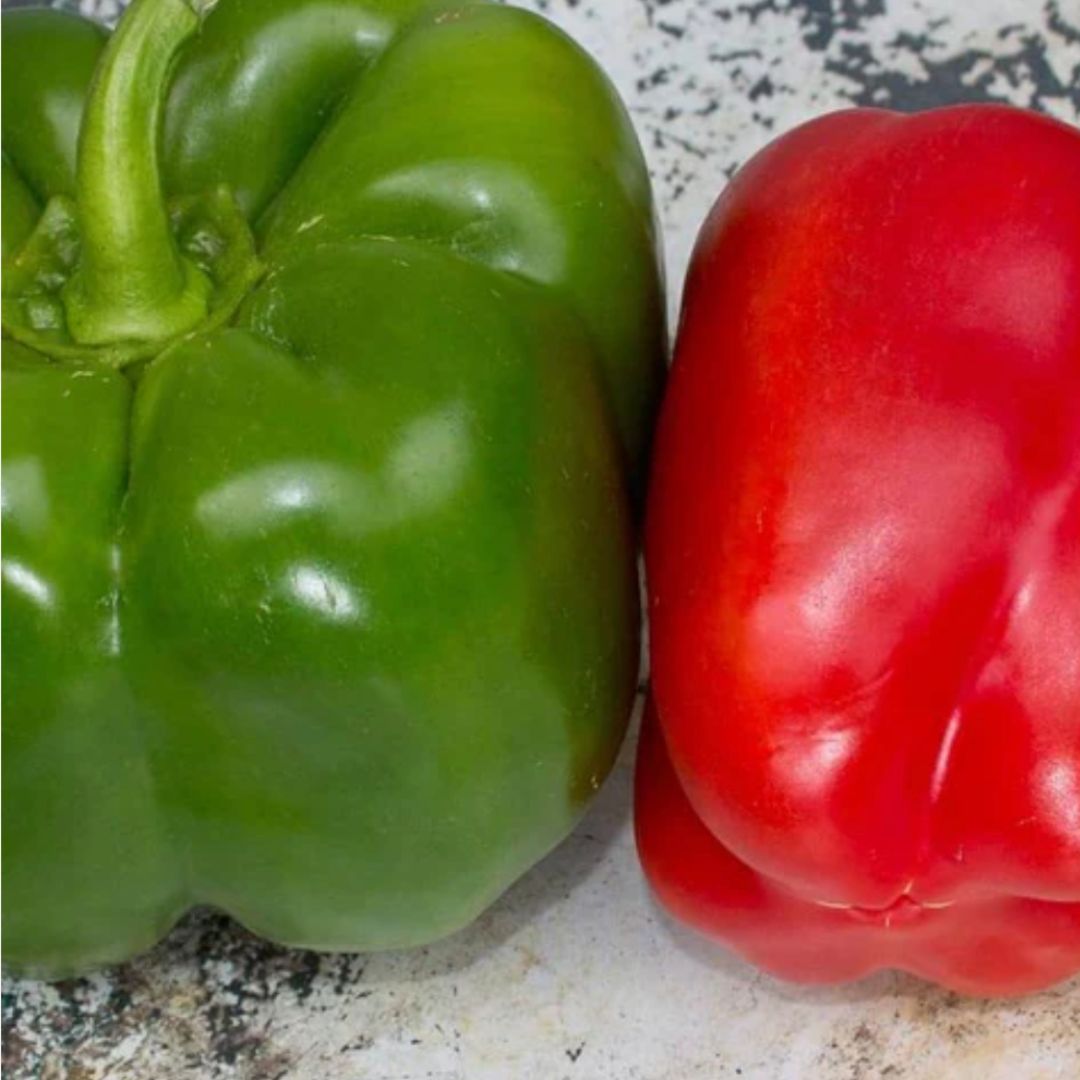 Pepper Seeds | Circle Farms Canada
