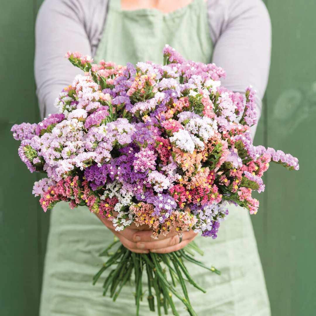 Filler Flower Seeds | Textural Greens & Cut Flower Support – Circle Farms